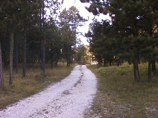 Pink Rose Lode Quarry (Scott Rose Quartz Mine; Scott Mine; Rose Quartz ...