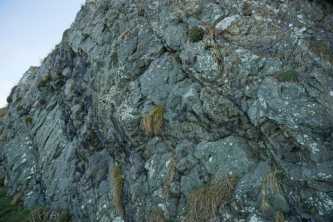 Wacke: Mineral information, data and localities.