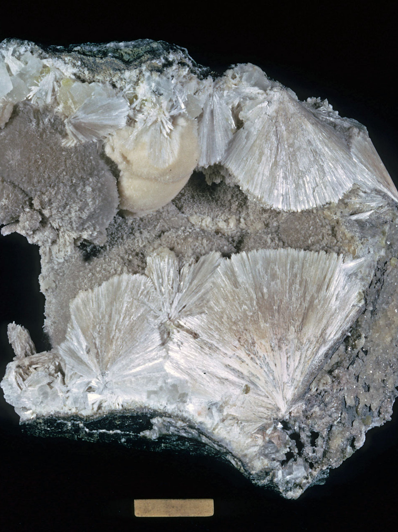 © Frank A. Imbriacco III