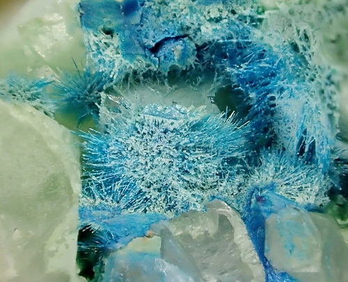 06652270017367700362106.jpg?cachekick=1