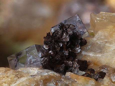 CHK-CHA - Siderite, Fluorite