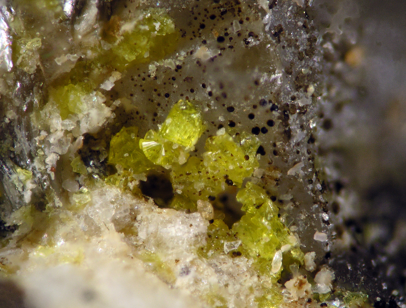 Moreauite: Mineral information, data and localities.