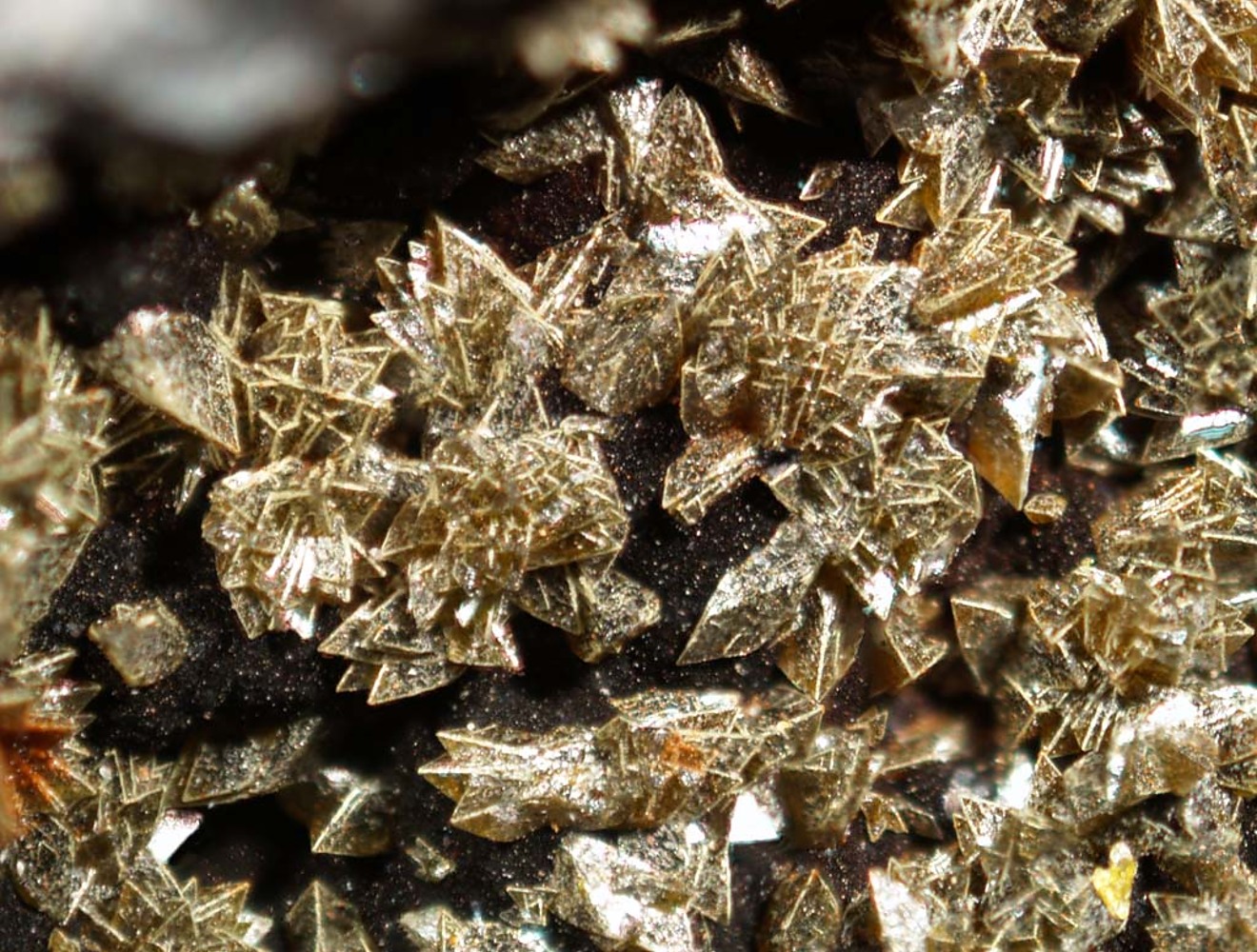 Segnitite: Mineral information, data and localities.