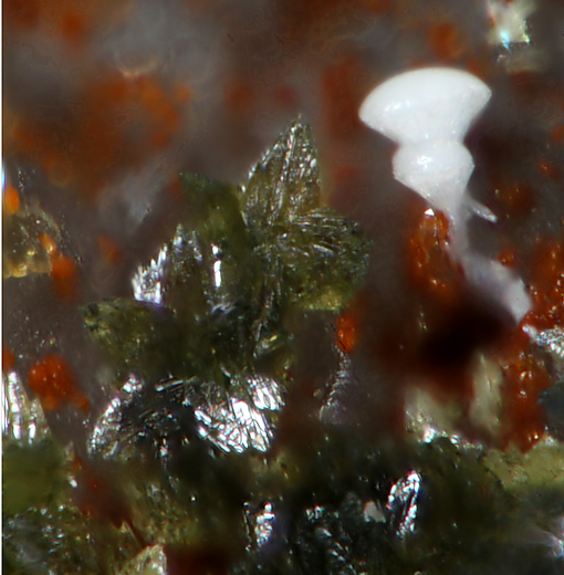 Humboldt County, Nevada, USA