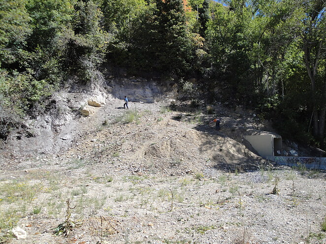Honerine Mine (Bauer; Bullion Coalition; Great Basin; Tip Top Mine ...