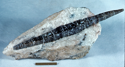 04170580017364976755620.jpg?cachekick=1