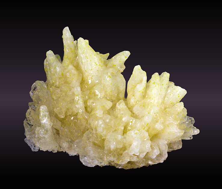 08325390017272028742062.jpg?cachekick=1