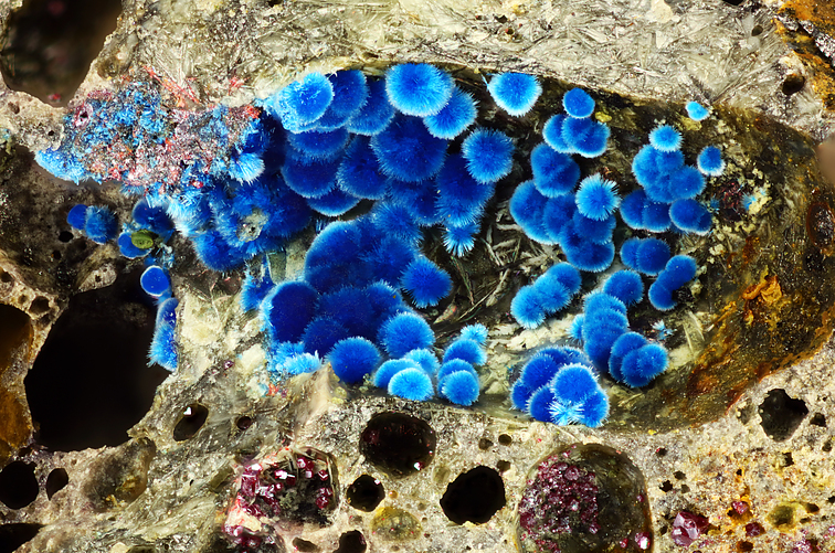 02769990017271922317592.jpg?cachekick=1