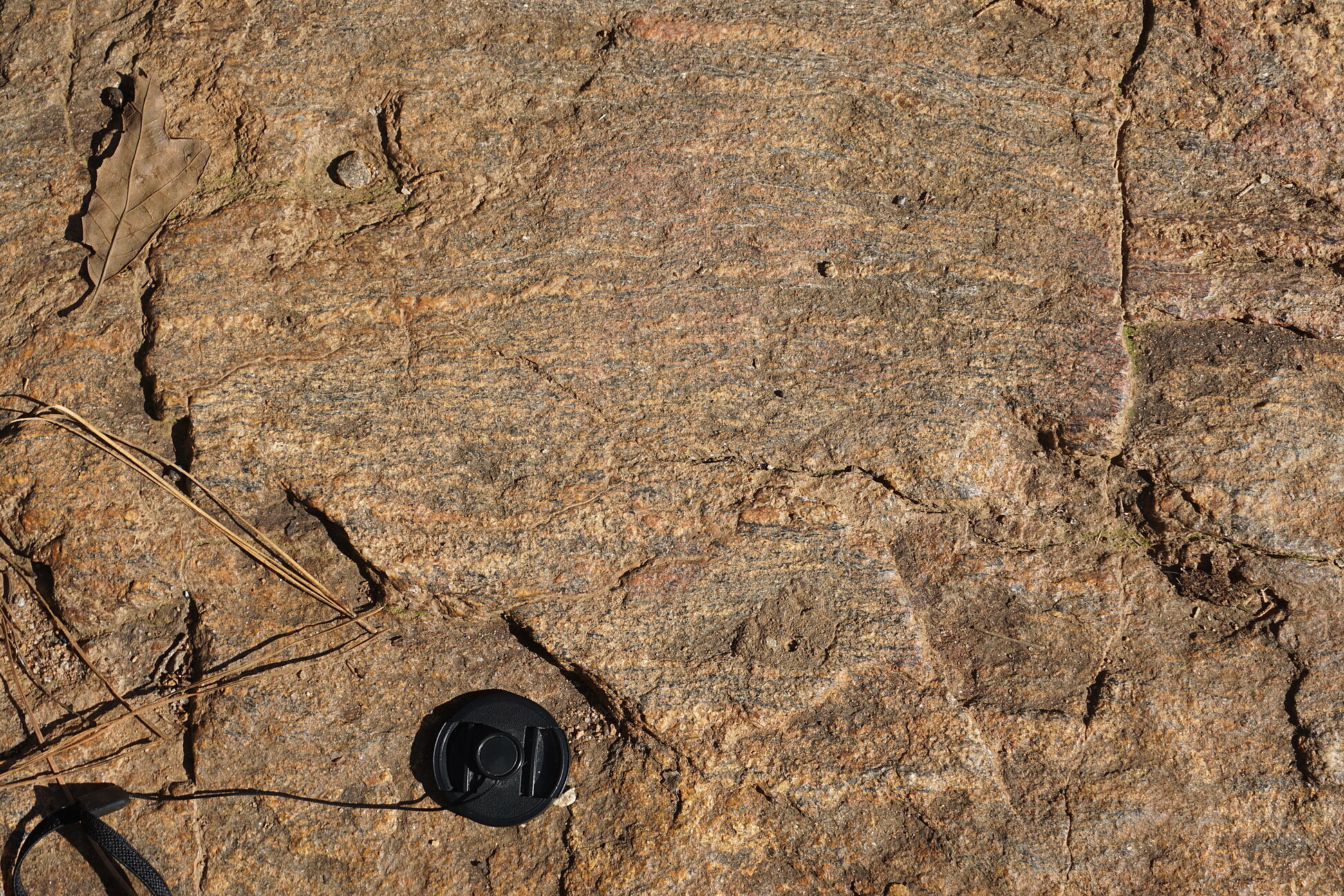 Biotite gneiss from Georgia, USA