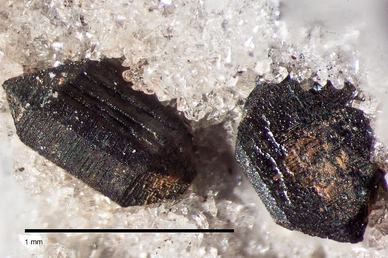 mindat.org - Fayalite