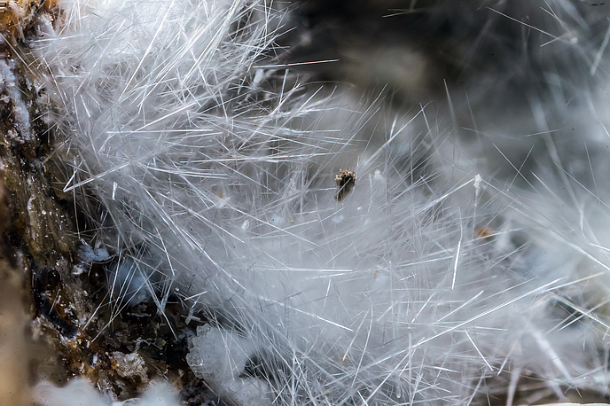 Jennite: Mineral information, data and localities.