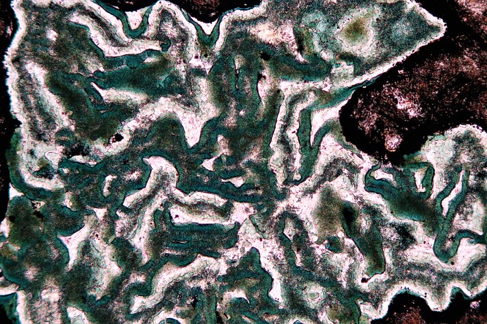 Celadonite: Mineral information, data and localities.