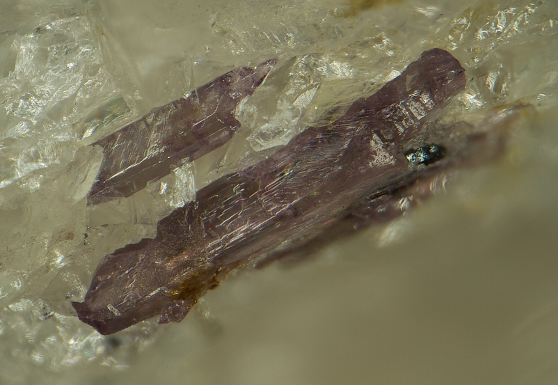 Dora-Maira coesite-bearing unit, Cuneo Province, Piedmont, Italy