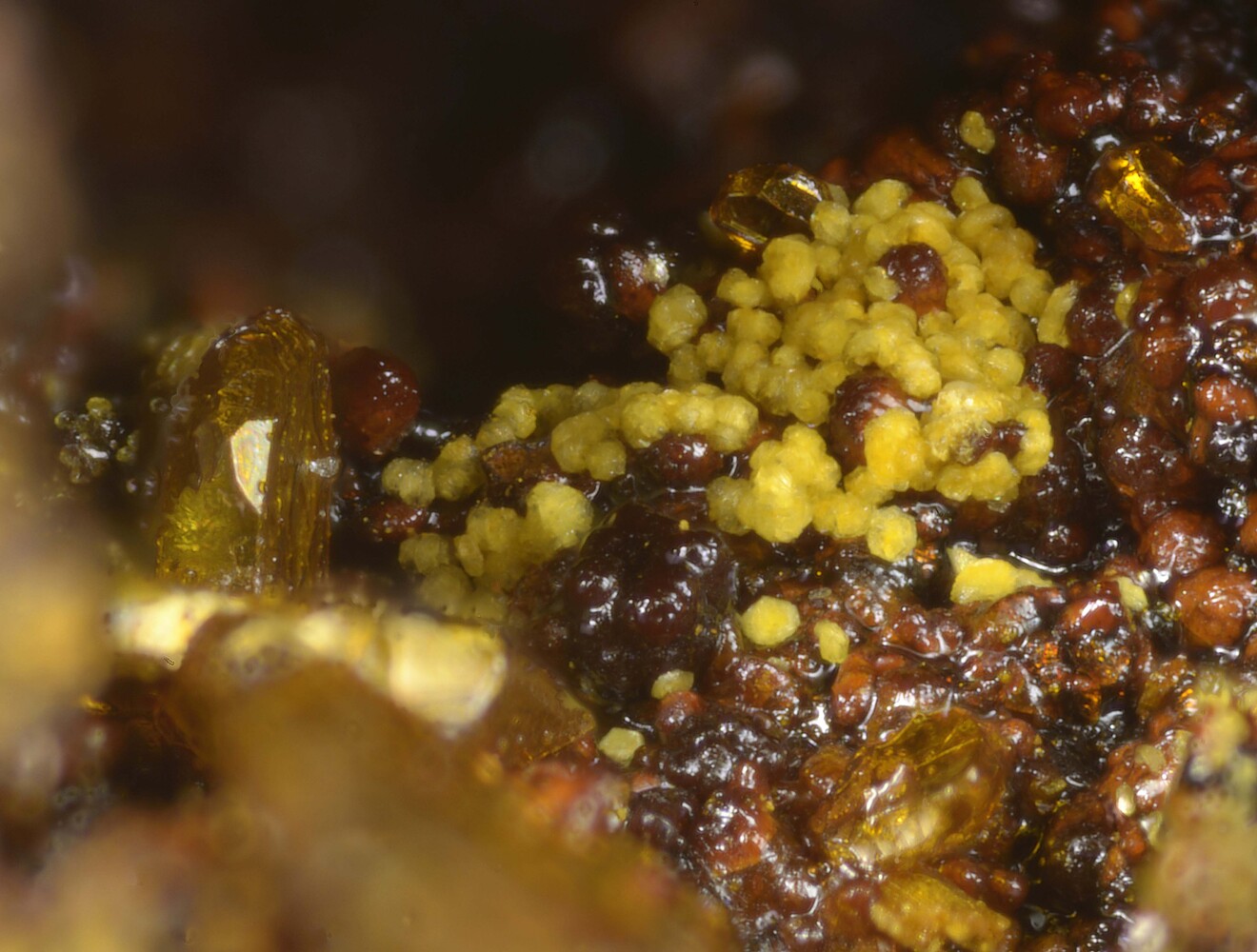 Aluminocopiapite: Mineral information, data and localities.