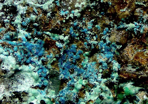 08407080017366778663531.jpg?cachekick=1