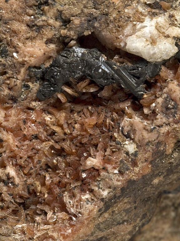 Ne, Genoa, Liguria, Italy