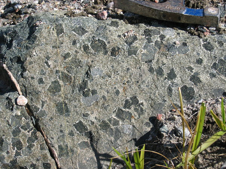 Definition of phenocryst