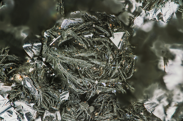 02290930017272011171809.jpg?cachekick=1