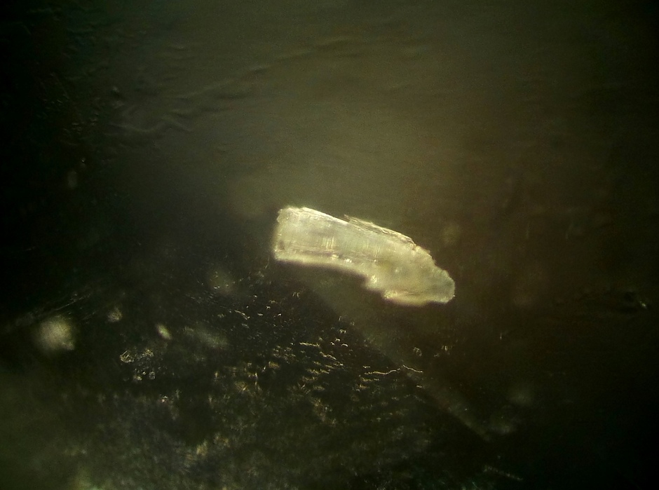 Kovdor Massif, Kovdorsky District, Murmansk Oblast, Russia