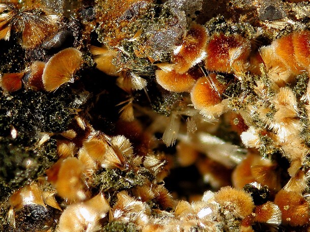 Hagendorf South Pegmatite, Hagendorf, Waidhaus, Neustadt an der ...