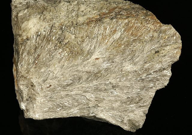 Muscovite