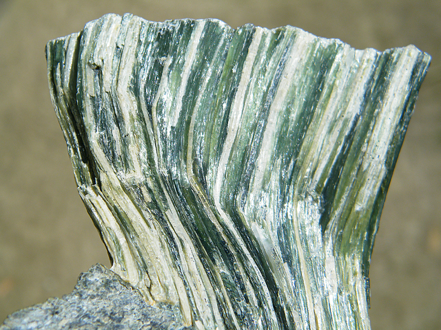 Serpentine Subgroup (Var: Picrolite), Serpentine Subgroup