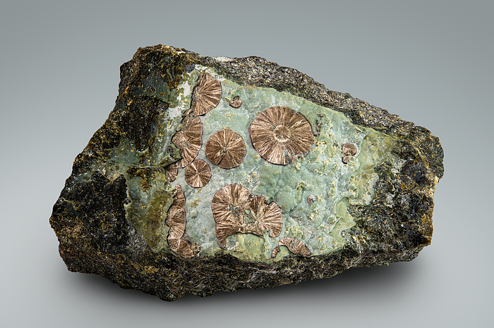 Pyroaurite: Mineral information, data and localities.