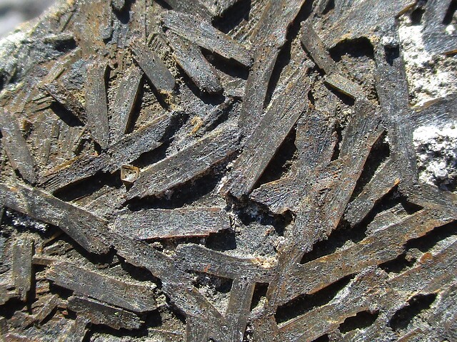 Clinopyroxene Subgroup