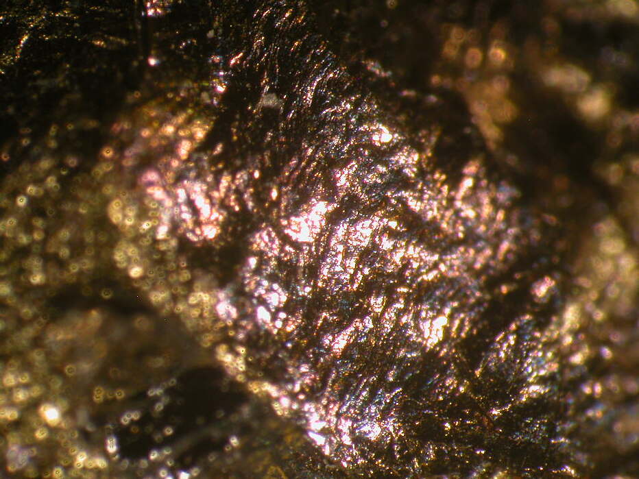 Talnakh Cu-Ni Deposit, Norilsk-Talnakh Mining Region, Taimyr Peninsula ...