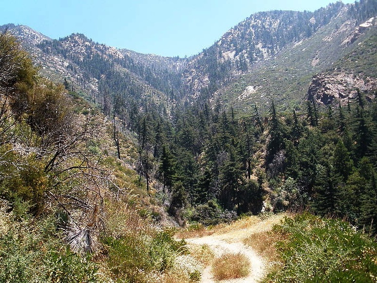 Cascade Canyon, San Bernardino County, California, USA