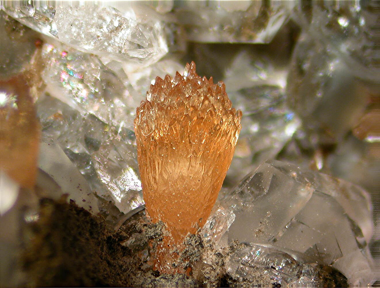 Iron-bearing Calcite: Mineral information, data and localities.