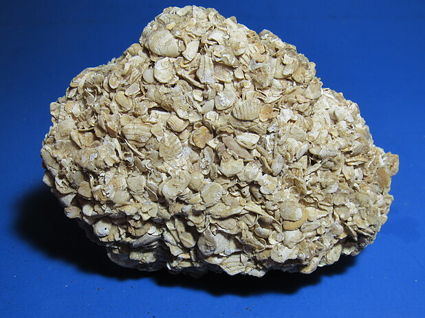 Shell-limestone: Mineral information, data and localities.
