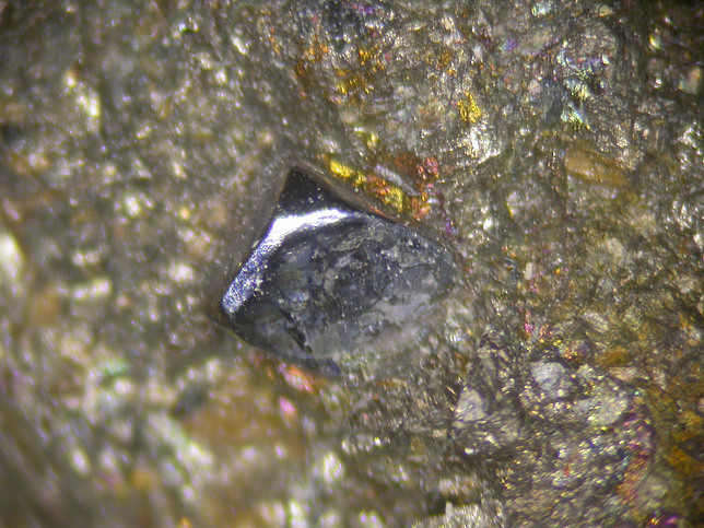 03345240017367498753859.jpg?cachekick=1