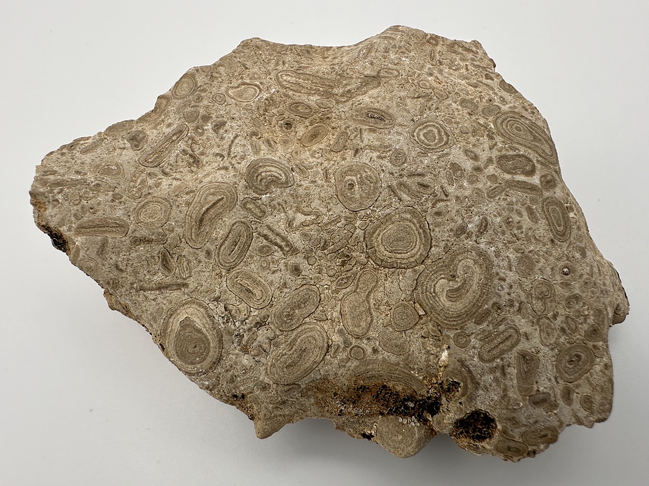 Oncolite: Mineral information, data and localities.