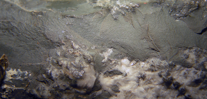 Minnesotaite: Mineral information, data and localities.