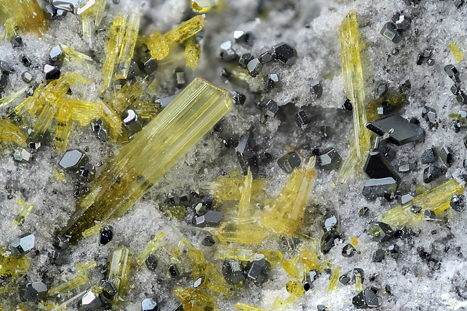 Fluoro-edenite: Mineral information, data and localities.