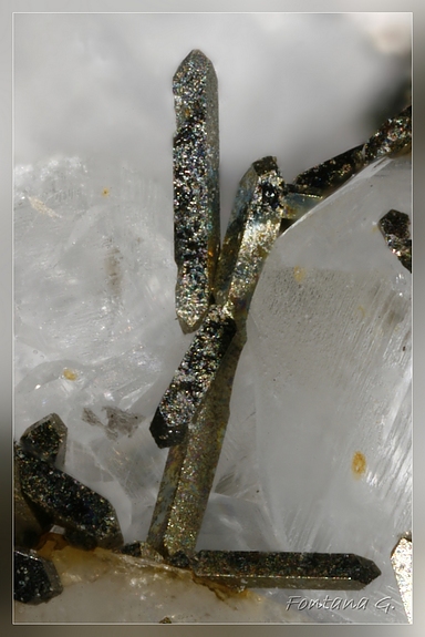 Cardoso, Stazzema, Lucca Province, Tuscany, Italy