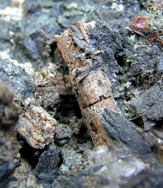 Scapolite, Pargasite