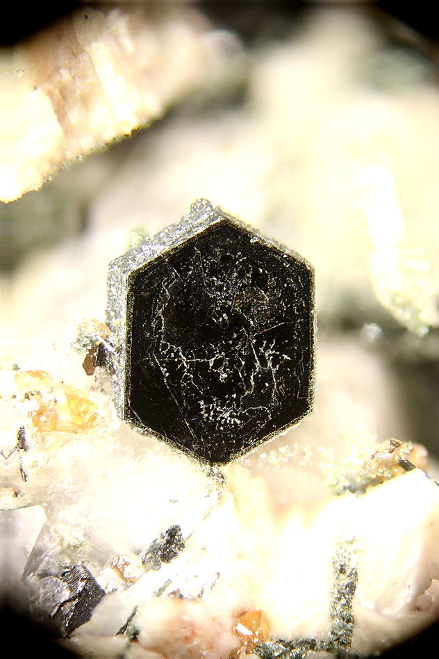 Biotite - Photo Gallery