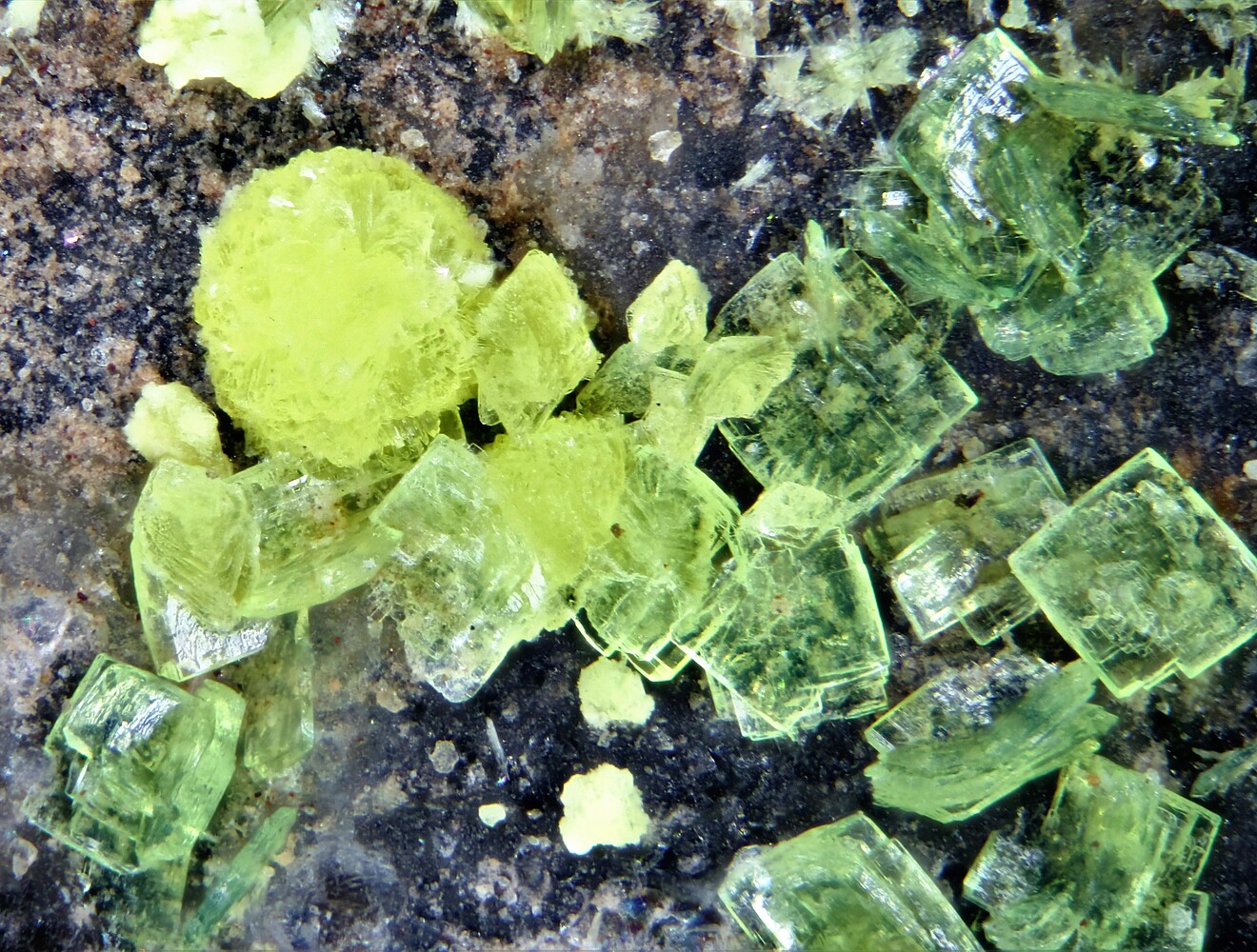 Braunerite: Mineral information, data and localities.