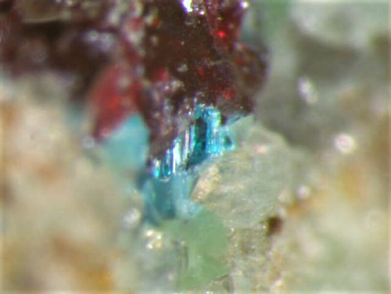 © Chinellato Matteo