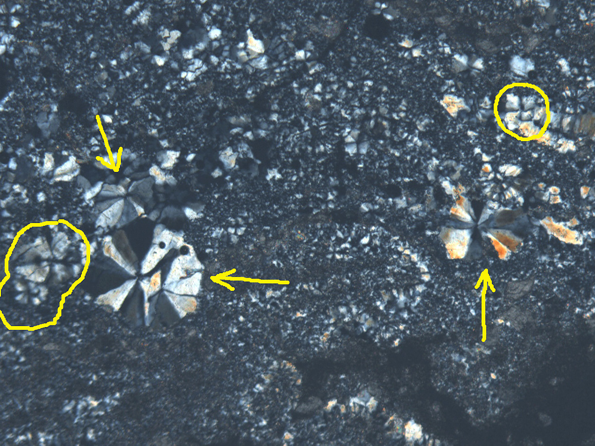 Education : Chert/chalcedony thin sections
