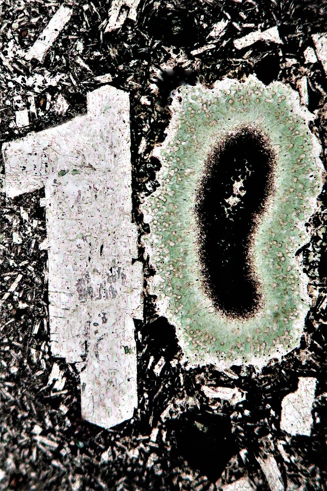 Celadonite, Plagioclase, Quartz (Var: Chalcedony)