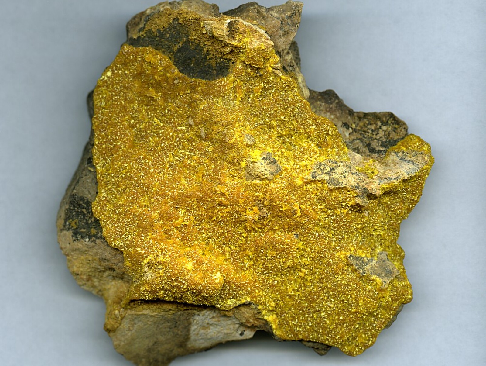 Field of view : 3mm, Photo & Collection : JM.Johannet.