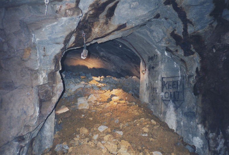 Trinity Mine, Phelps Ridge (Red Mountain), Chiwawa Mining District ...