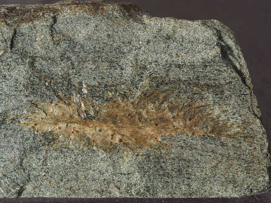 Cummingtonite (of Dewey): Mineral information, data and localities.