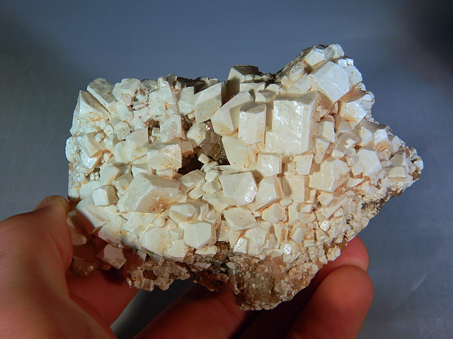 Leonite, Halite
