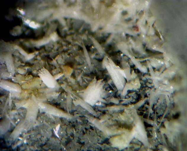 Blue Bell Mine, Zzyzx, Soda Mountains, Silver Lake Mining District, San ...