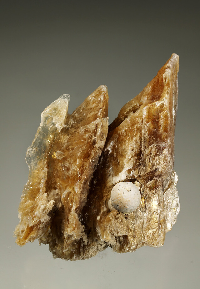 Menilite, Gypsum