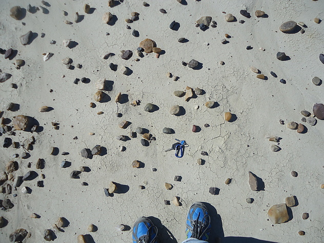 Blue Forest, Eden Valley, Sweetwater County, Wyoming, USA